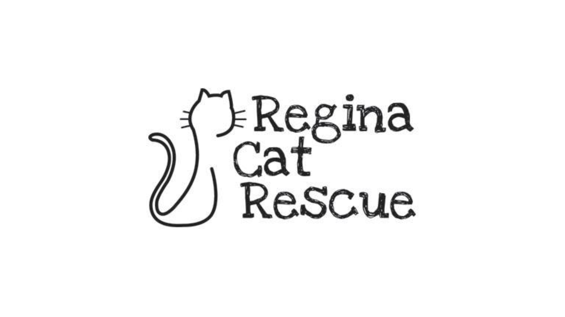 Local Rescue Feature - Regina Cat Rescue — SaskPets