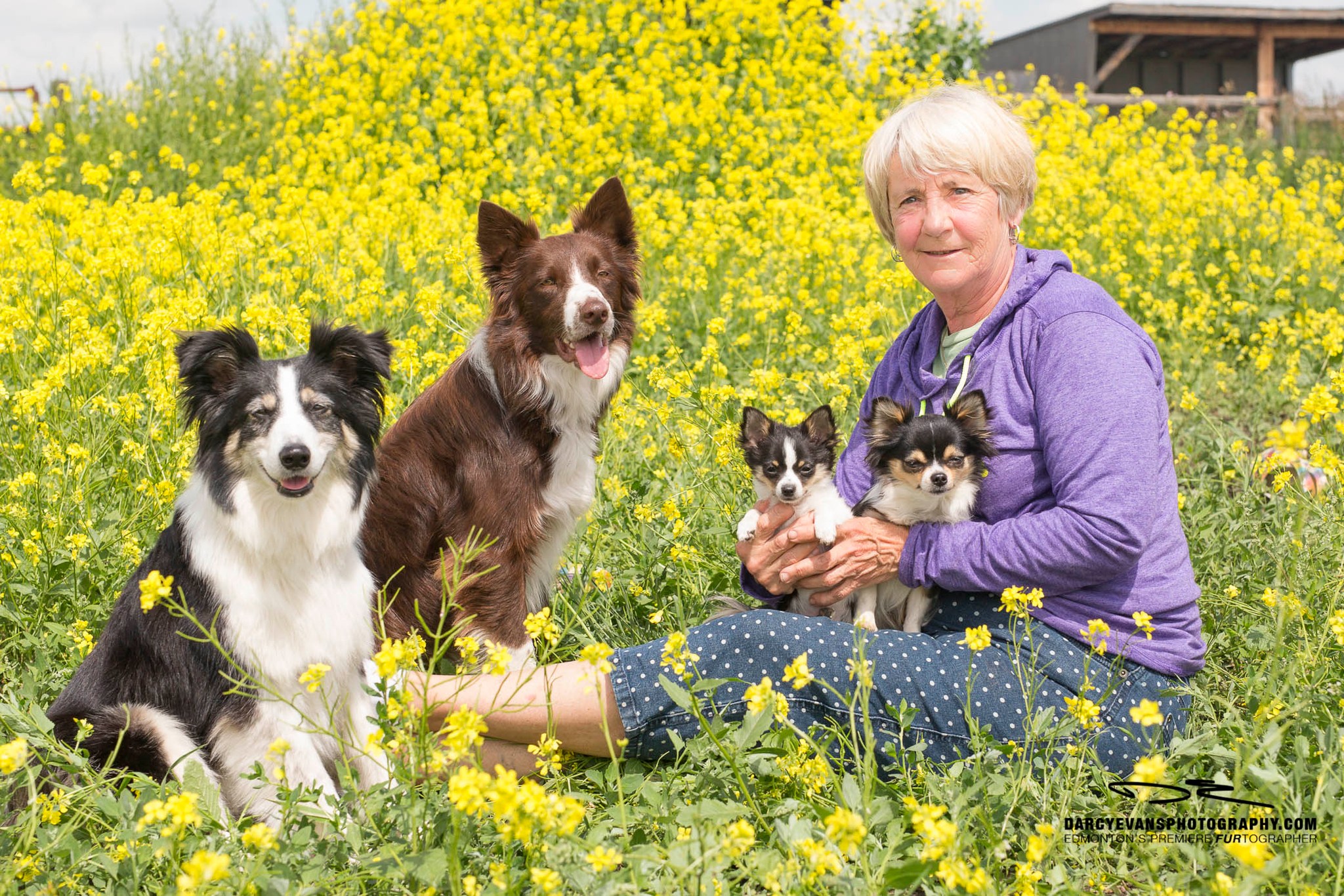 Warman Dog Training — SaskPets