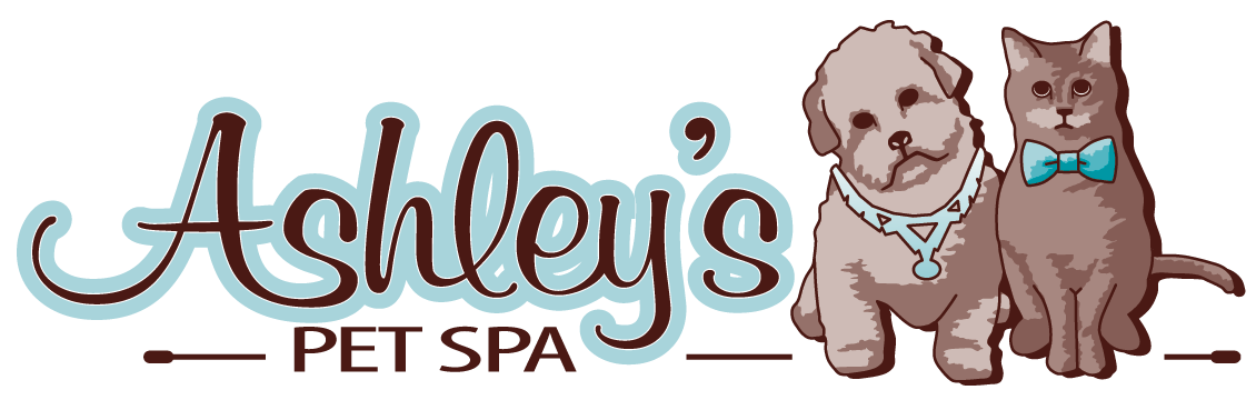 Ashley's Pet Spa — SaskPets