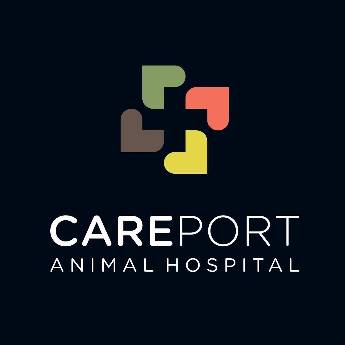 Careport Animal Hospital — SaskPets