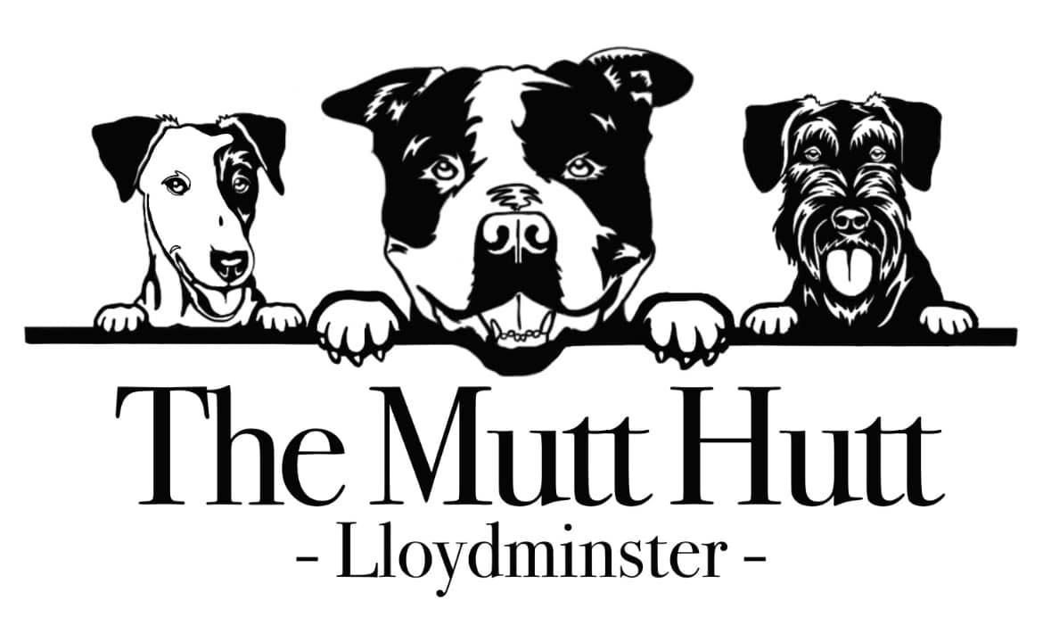The Mutt Hutt — SaskPets