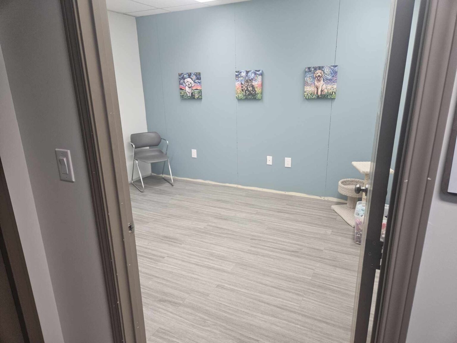 Check out the NEW location of the Saskatoon SPCA — SaskPets