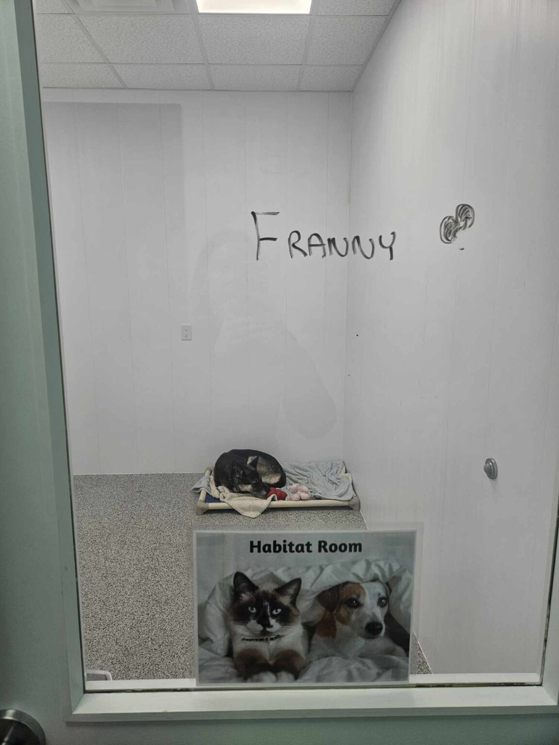 Check out the NEW location of the Saskatoon SPCA — SaskPets