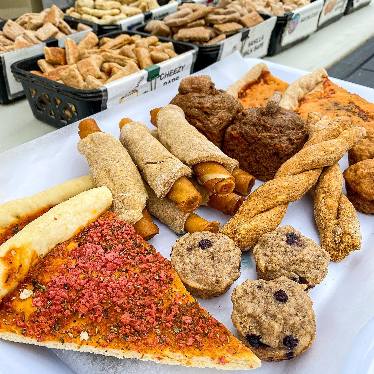 Jenny's Bow & Meow — SaskPets