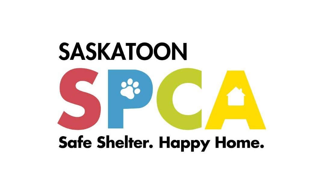 Local Rescue Feature - Saskatoon SPCA — SaskPets