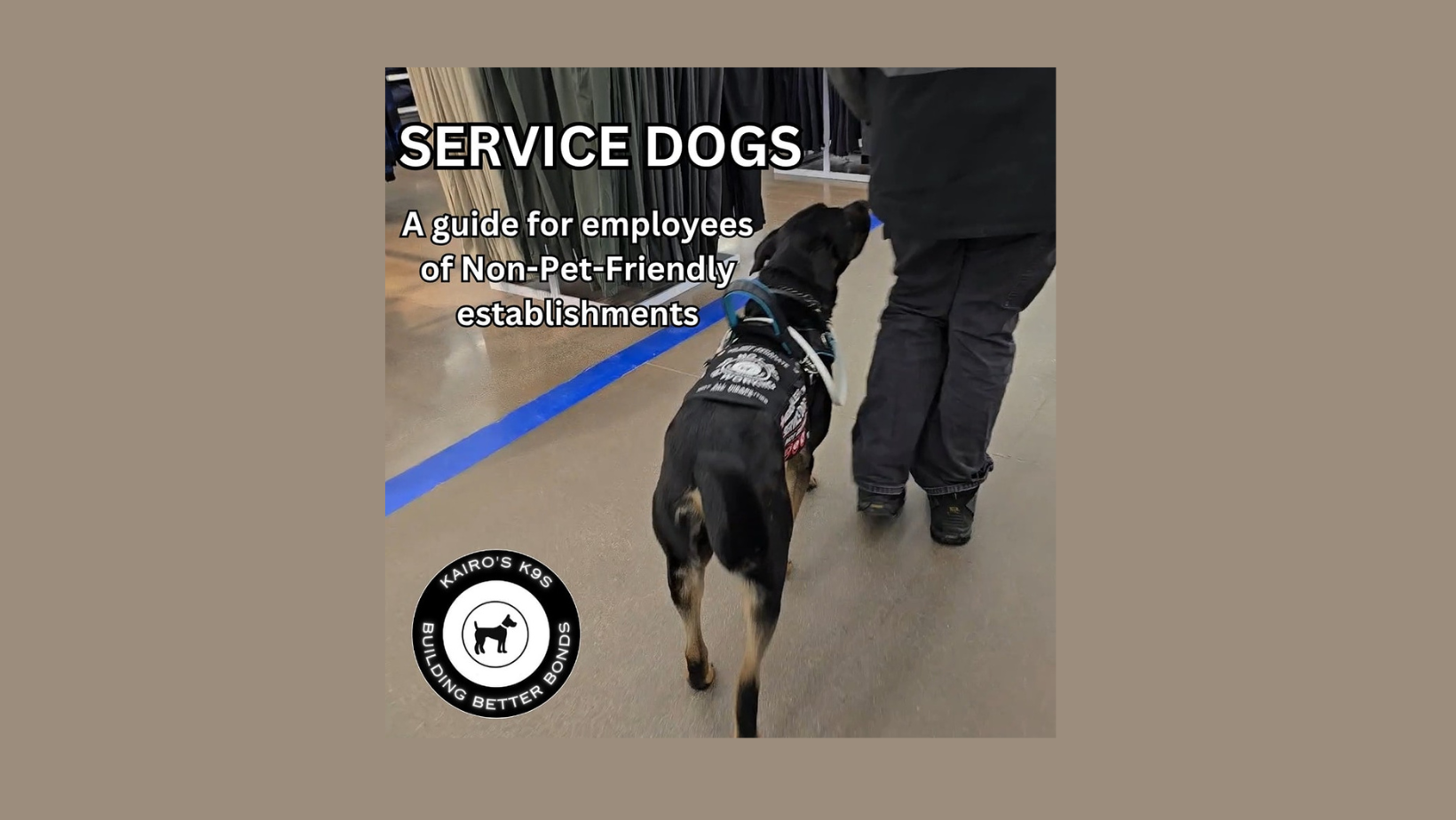 Service Dog Etiquette Guide for Employees in Non-Pet-Friendly Stores in ...
